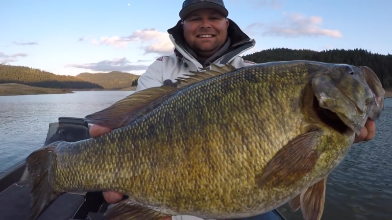 Angler LA - Hooking a Dream